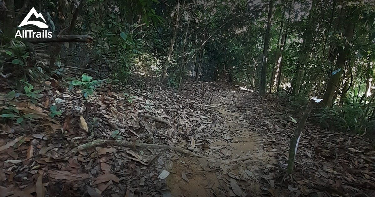 Best trail running trails in Parit Jawa | AllTrails