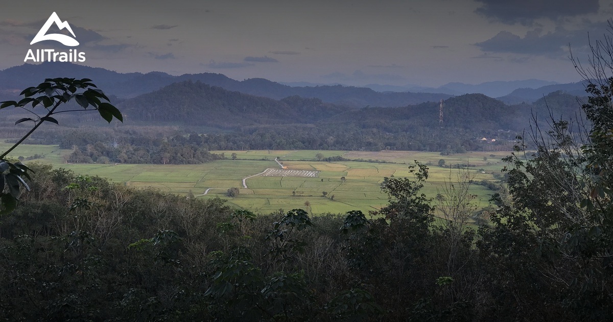 Best walking trails in Pendang | AllTrails