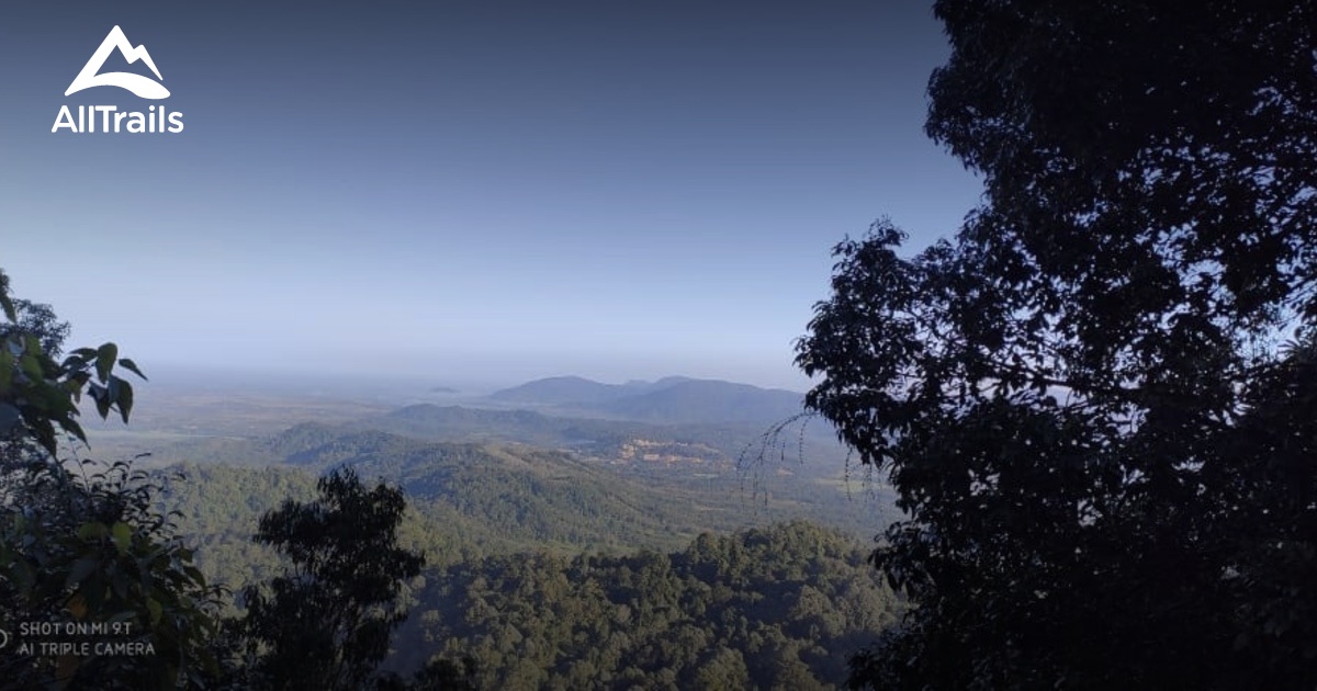 Best forest trails in Machang | AllTrails