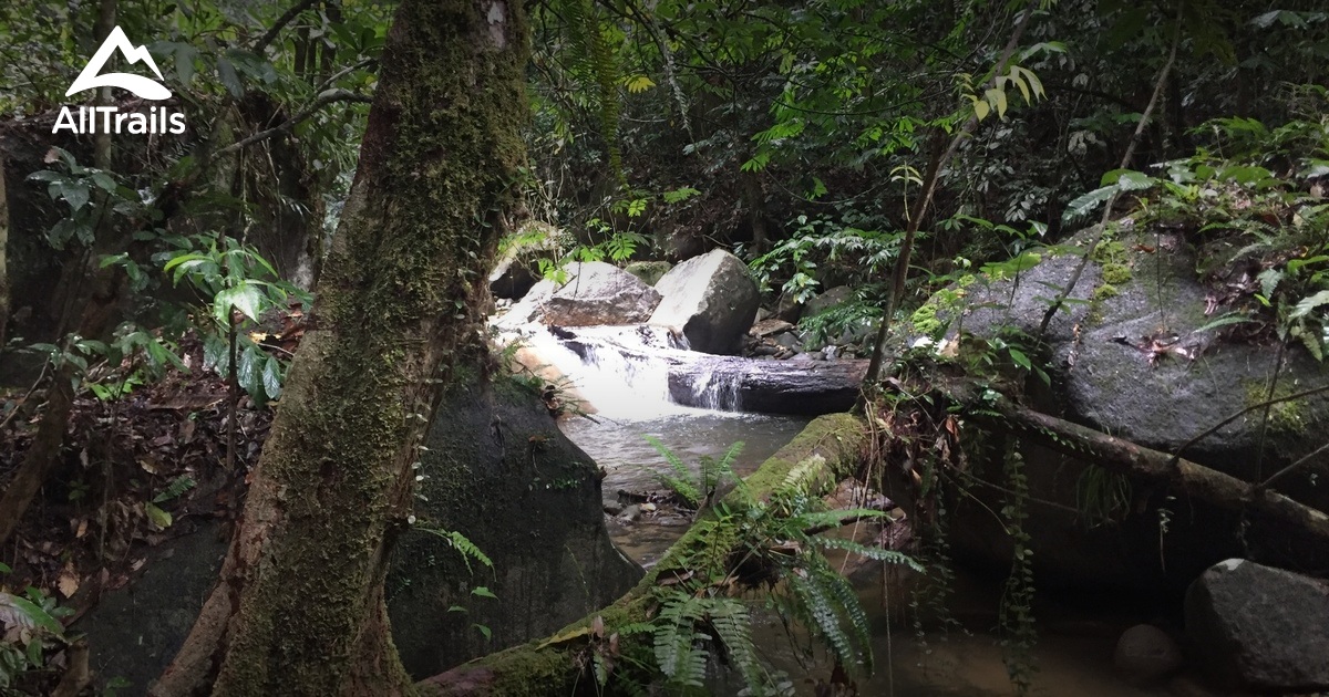 Best waterfall trails in Kuala Klawang | AllTrails