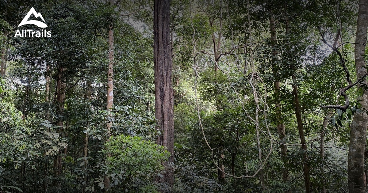 Best waterfall trails in Labu | AllTrails