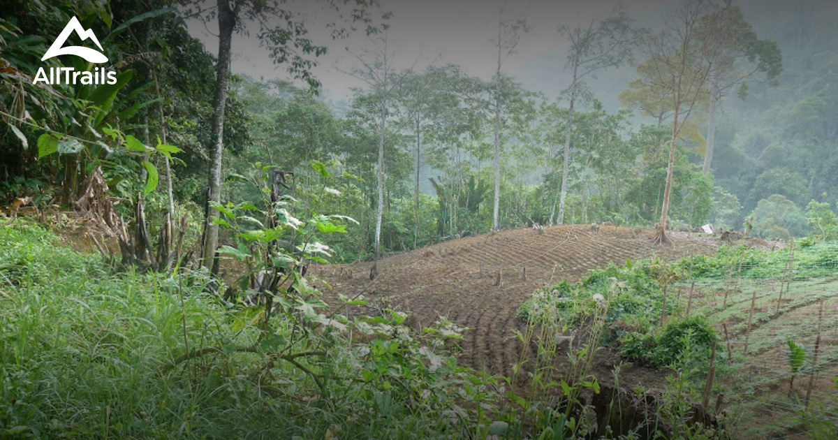 10 Best trails and hikes in Bentong | AllTrails