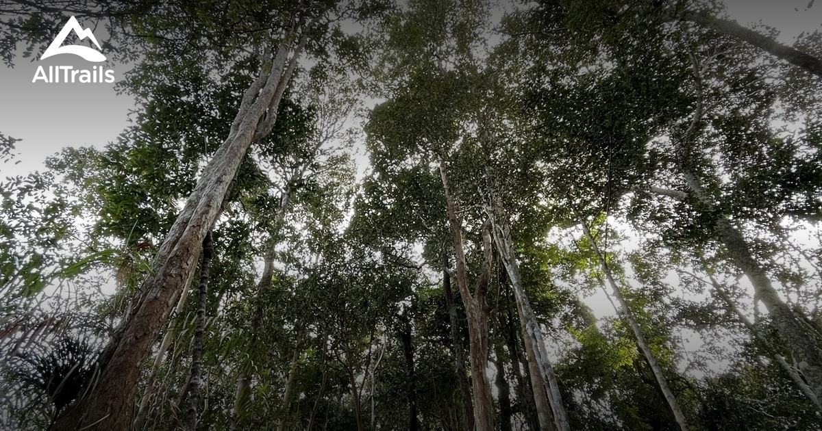 Best hikes and trails in Chenor | AllTrails