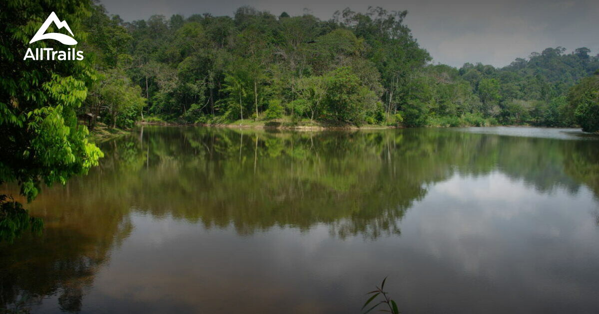 10 Best Wild Flowers Trails in Kuala Lipis | AllTrails