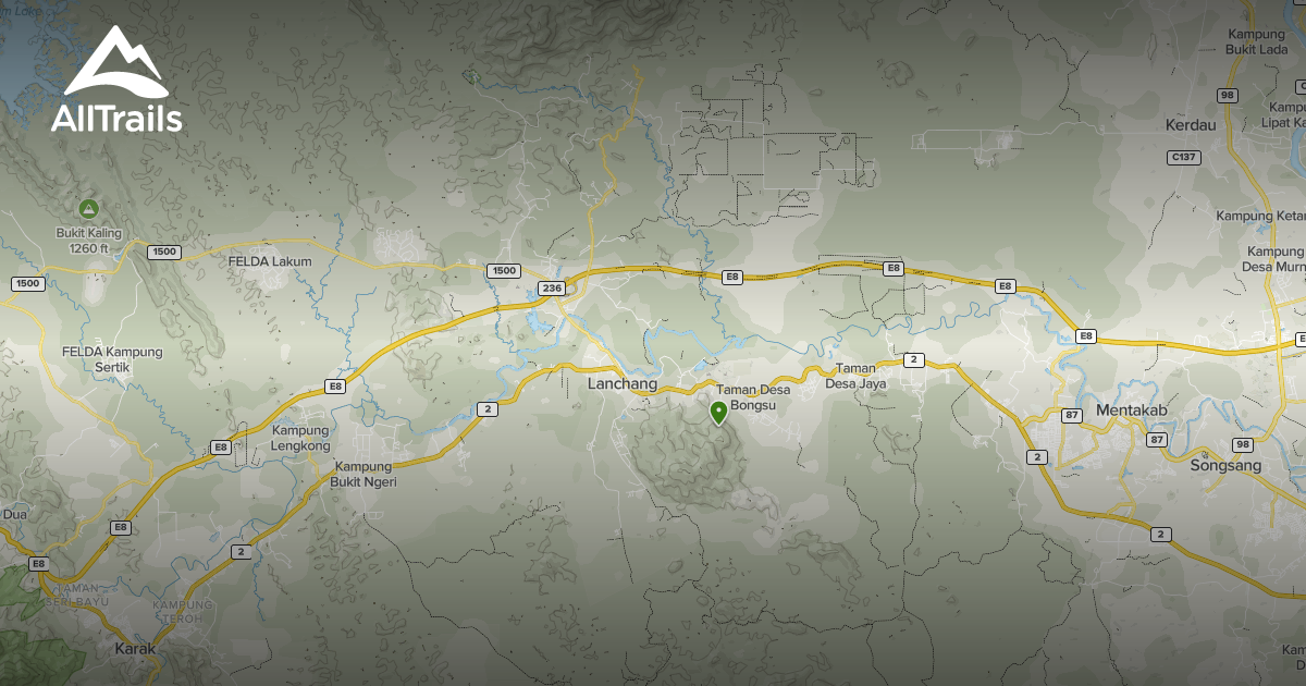 Best wildflower trails in Lanchang | AllTrails