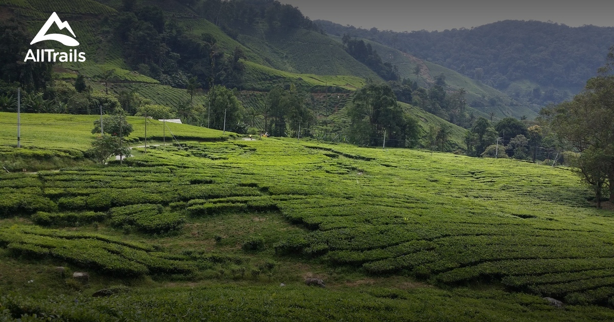 10 Best trails and hikes in Tanah Rata | AllTrails