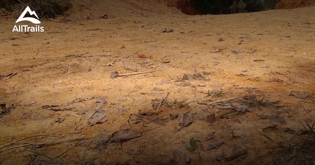 10 Best trails and hikes in Gerik | AllTrails