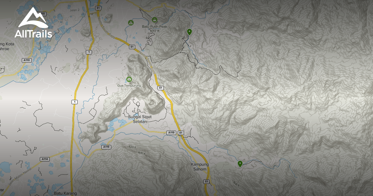 Best wildflower trails in Jeram | AllTrails