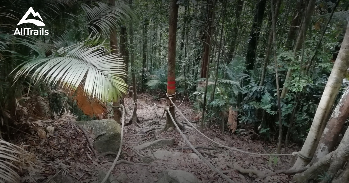 10 Best trails and hikes in Kampar | AllTrails