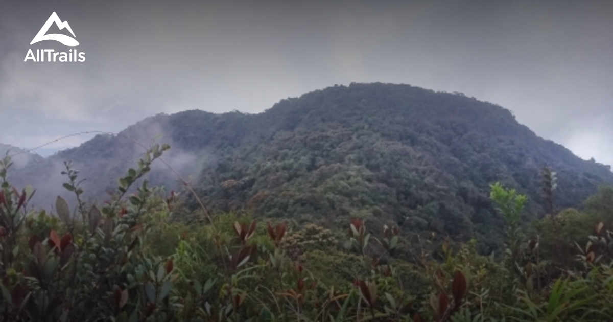 10 Best wildflower trails in Kampung Kepayang | AllTrails