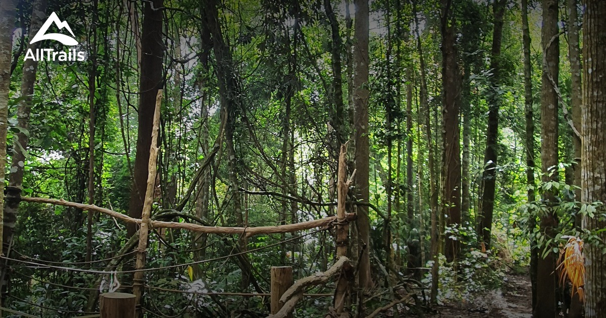 Best camping trails in Lumut | AllTrails