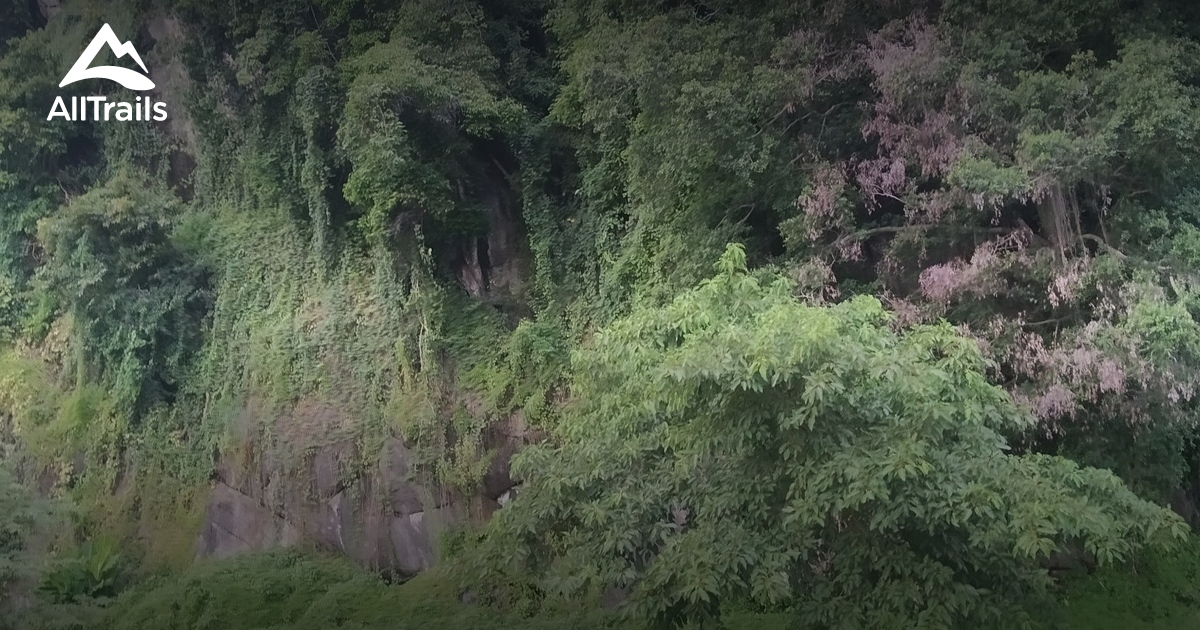 10 Best trails and hikes in Kangar | AllTrails