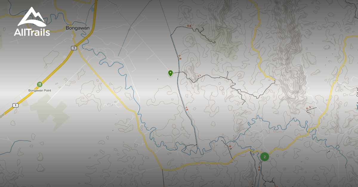 Best river trails in Bongawan | AllTrails