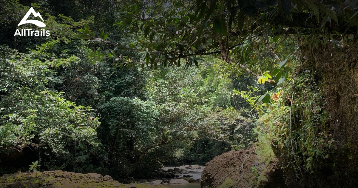 10 Best forest trails in Kota Belud | AllTrails