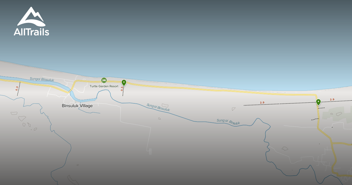 Best forest trails in Membakut | AllTrails