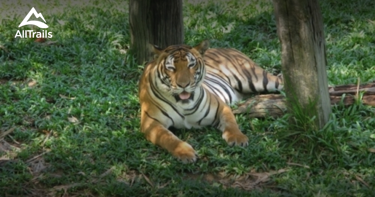 10 Best trails and hikes in Penampang | AllTrails