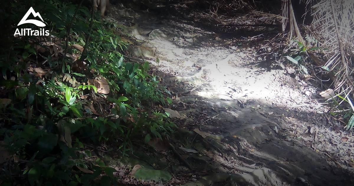 10 Best walking trails in Ampang | AllTrails