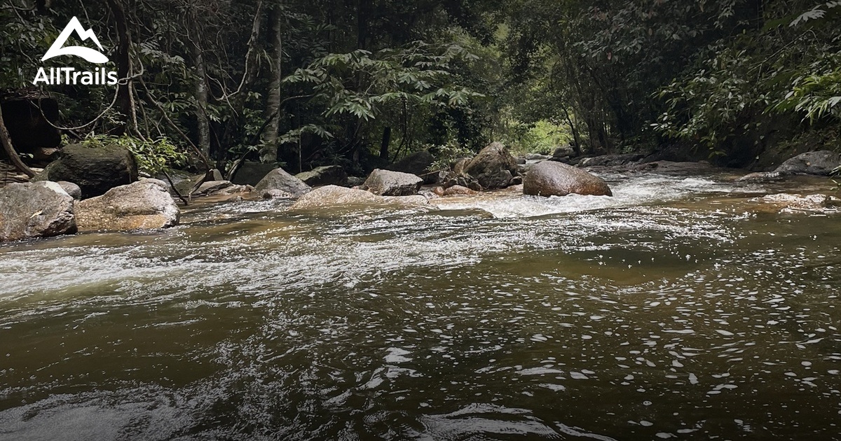 10 Best trails and hikes in Kerling | AllTrails