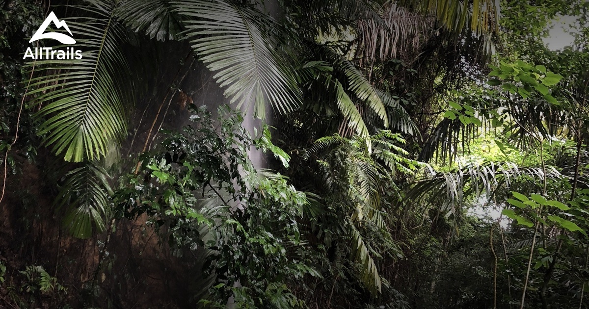 Best camping trails in Serendah | AllTrails