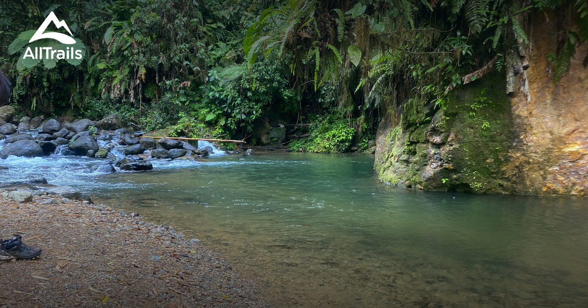 Best hikes and trails in Le Marigot | AllTrails
