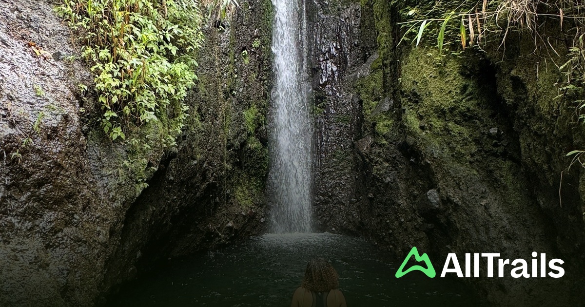 Best Trails, Walks, and Paths in L'Ajoupa-Bouillon | AllTrails