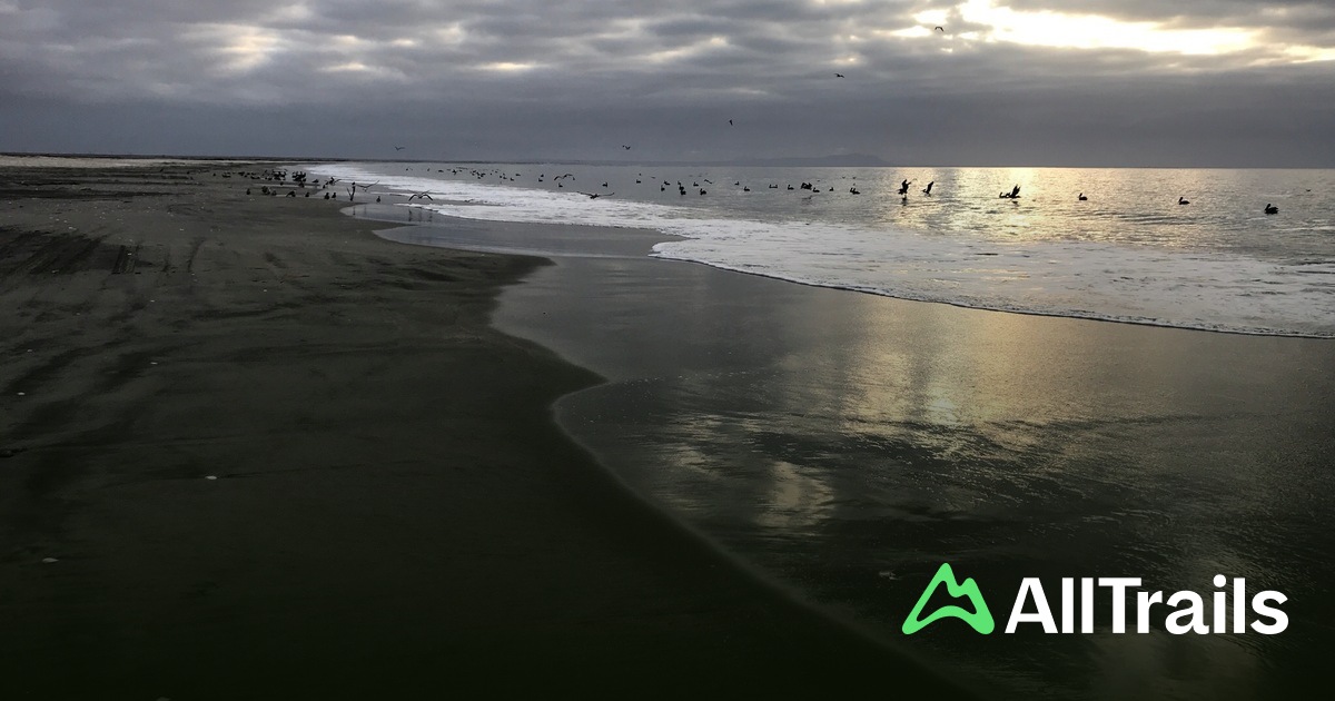 Los mejores senderos y rutas en Bahía Asunción | AllTrails