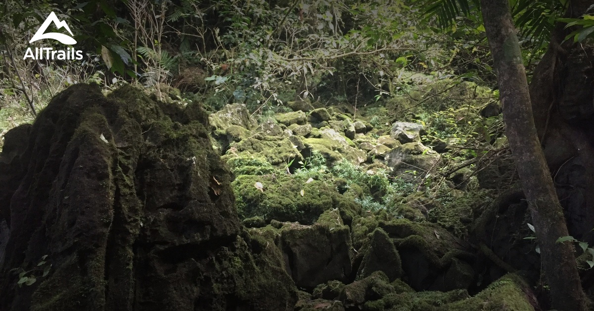 Best Hikes and Trails in Cintalapa | AllTrails