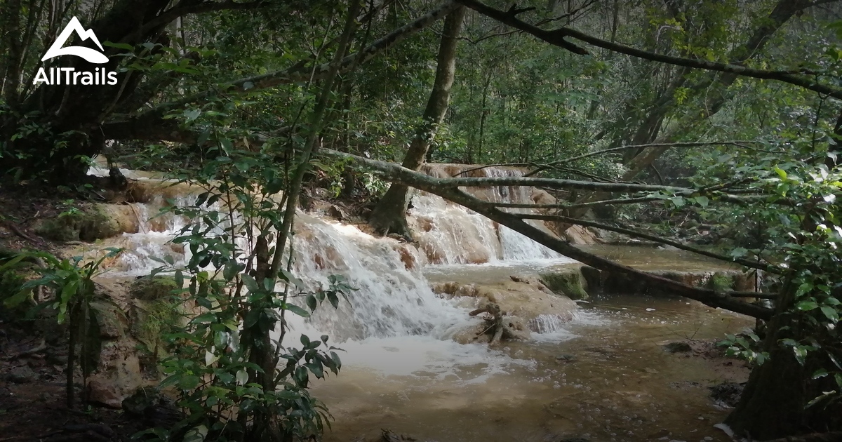 Best hikes and trails in Ocozocoautla de Espinosa | AllTrails