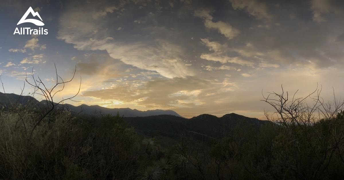 Los mejores senderos de larga longitud en Múzquiz | AllTrails