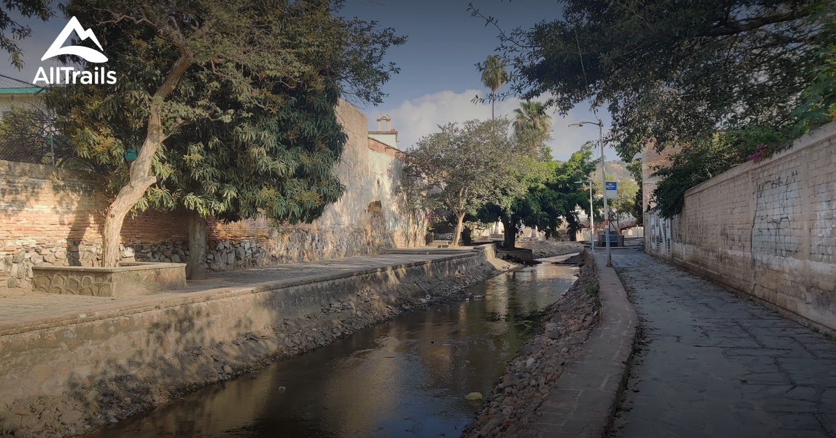 Los mejores senderos y rutas en El Colomo | AllTrails