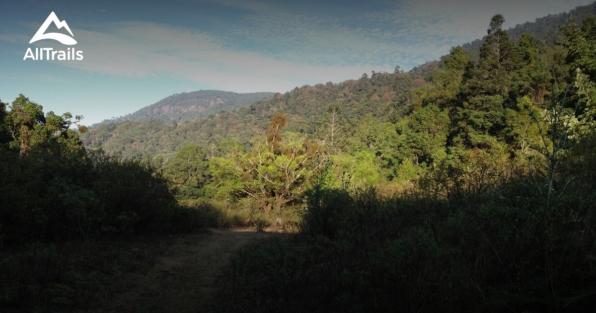 Los mejores senderos y rutas en Autlán de Navarro | AllTrails