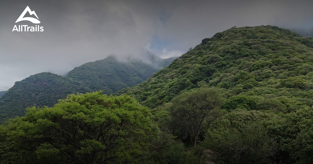 10 Best trails and hikes in Chapala | AllTrails