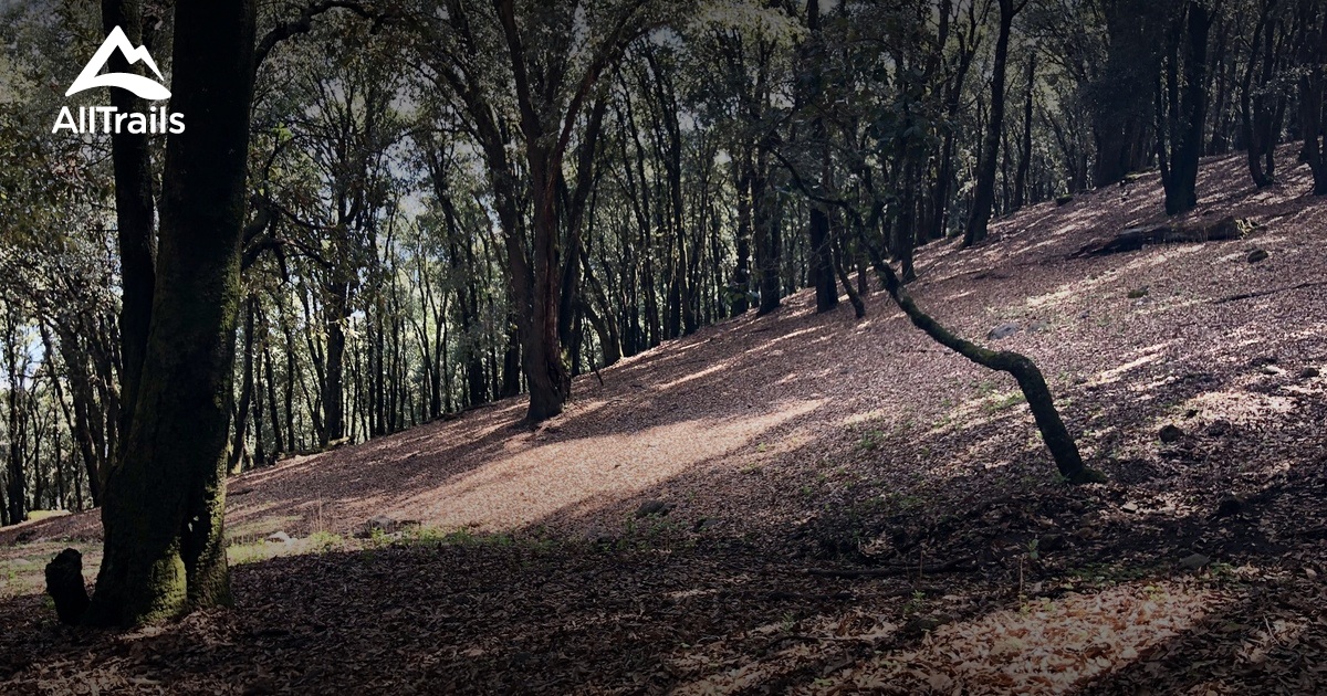 10 Best trails and hikes in Jocotepec | AllTrails