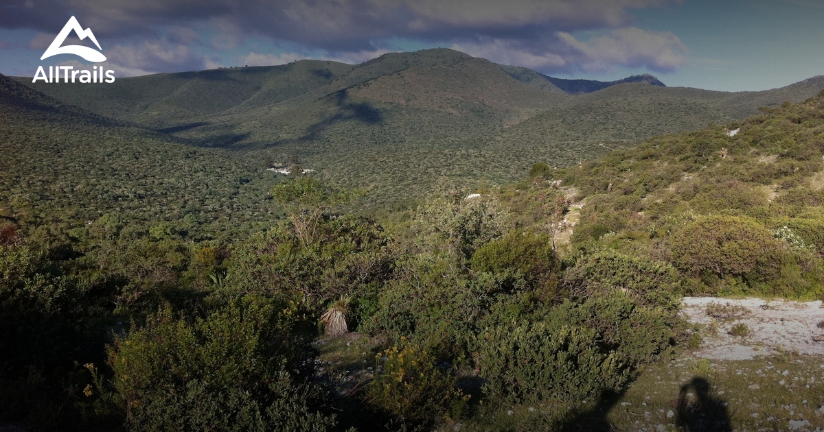 Best hikes and trails in Apaxco | AllTrails