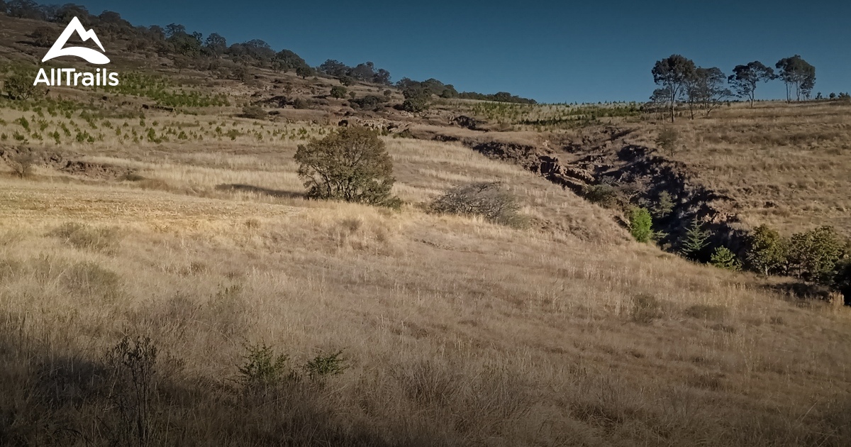 Best hikes and trails in Atlacomulco | AllTrails