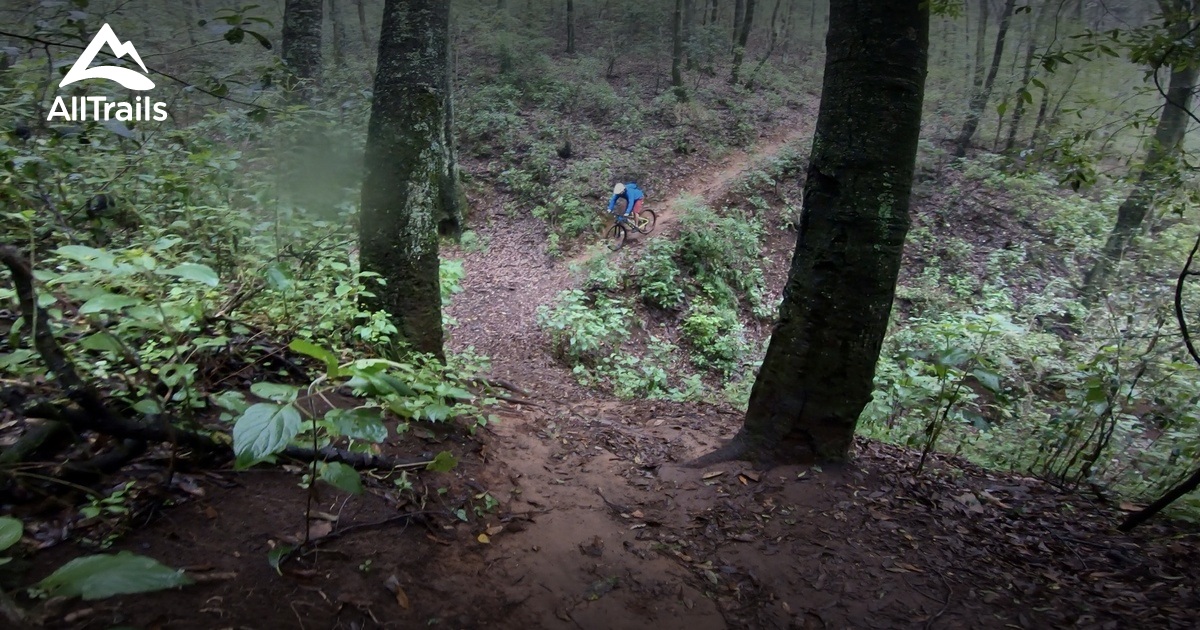 Best Moderate Trails in Jilotepec de Abasolo | AllTrails