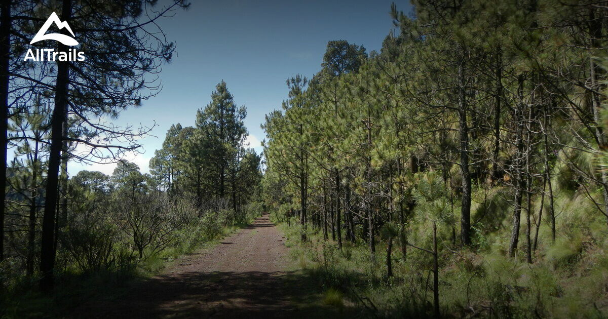 Los 10 mejores senderos y rutas en Naucalpan De Juárez | AllTrails