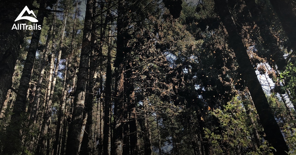 Los 10 mejores senderos y rutas en Temascaltepec | AllTrails