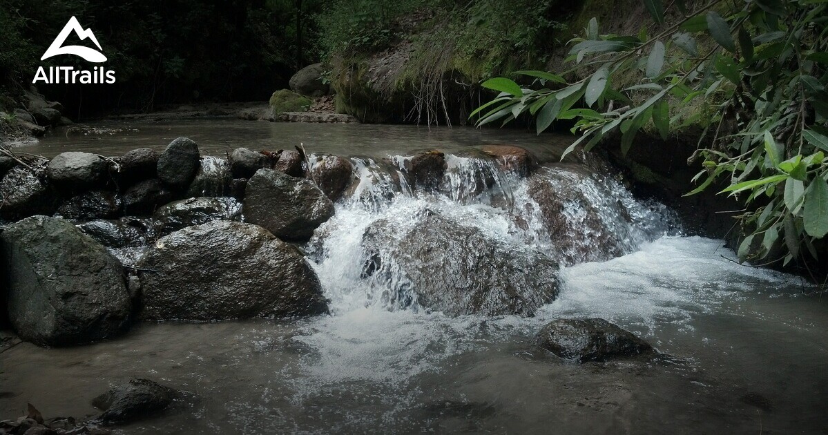 Los 10 mejores senderos por bosque en Tepetlaoxtoc | AllTrails