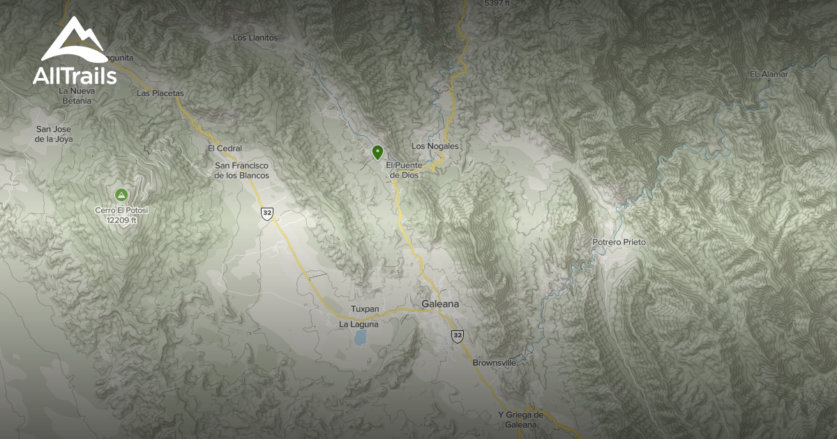 Best forest trails in Galeana | AllTrails