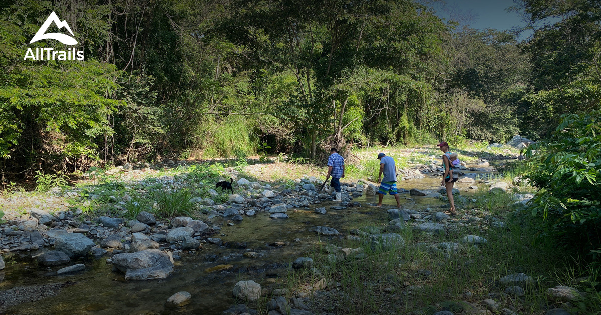 Best hikes and trails in Pluma Hidalgo | AllTrails
