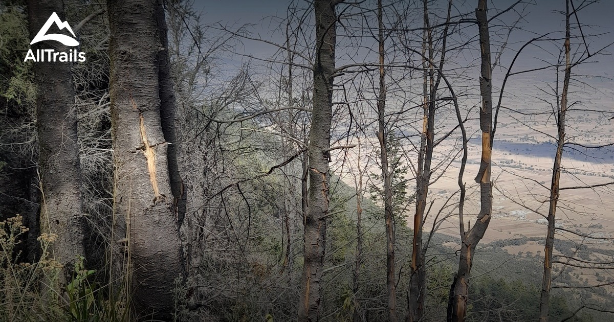 Best Trails In El Rinc n Citlalt petl AllTrails best-trails-in-el-rinc-n-citlalt-petl-alltrails
