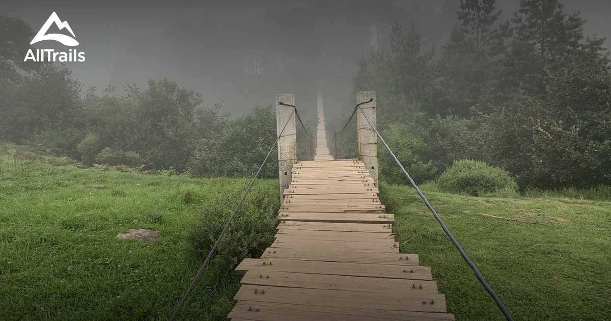 Best hikes and trails in Honey | AllTrails