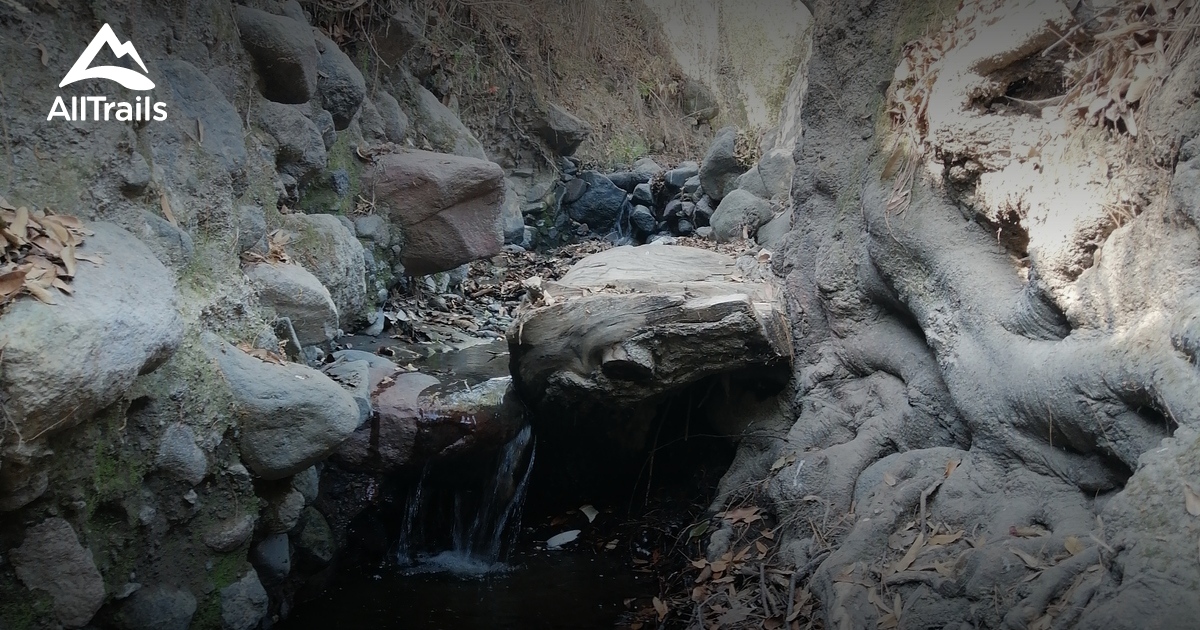 Best hikes and trails in San Lorenzo Chiautzingo | AllTrails