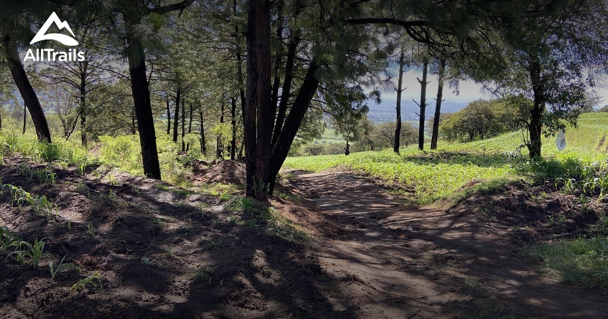 Best long trails in San Martín Texmelucan | AllTrails