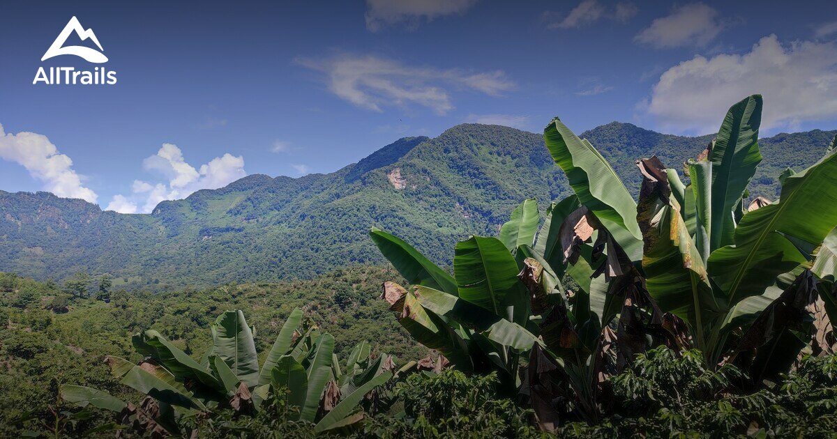 Best hikes and trails in Zapotitlán de Méndez | AllTrails