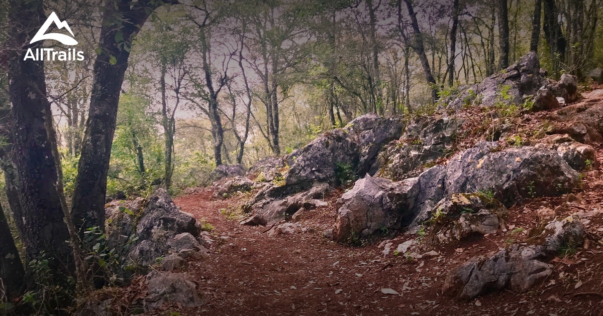 Los mejores senderos y rutas en Jalpan de Serra | AllTrails