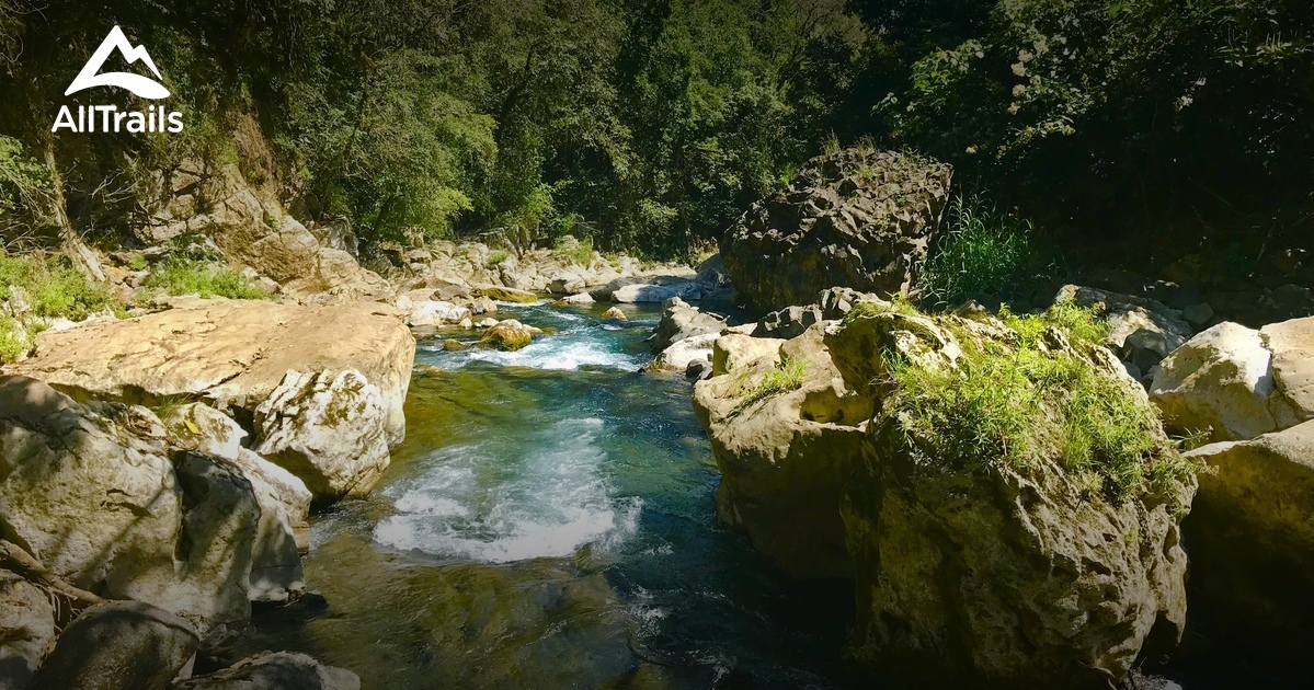 Los mejores senderos y rutas en Tamasopo | AllTrails