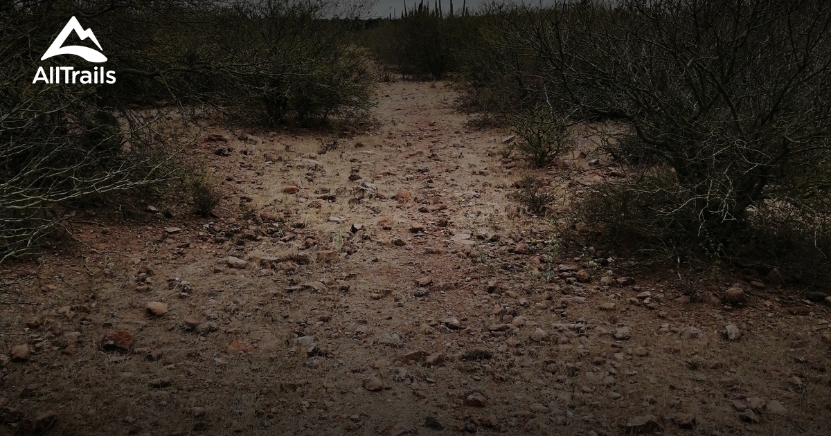 Los mejores senderos y rutas en Ahome | AllTrails