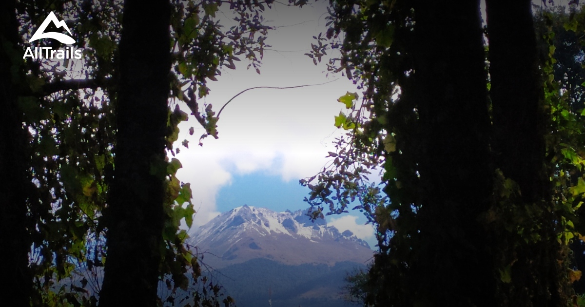 Best hikes and trails in La Magdalena Tlaltelulco | AllTrails